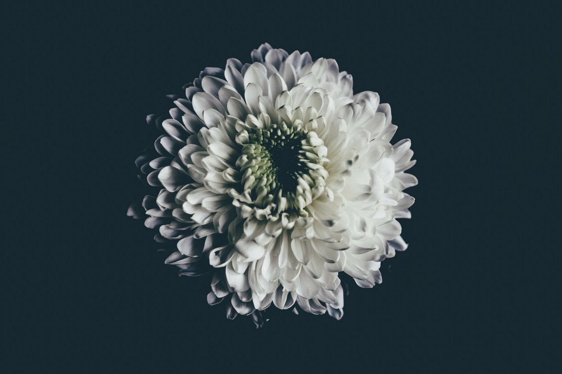 August emerging leaders program | The highlights | TDC Global